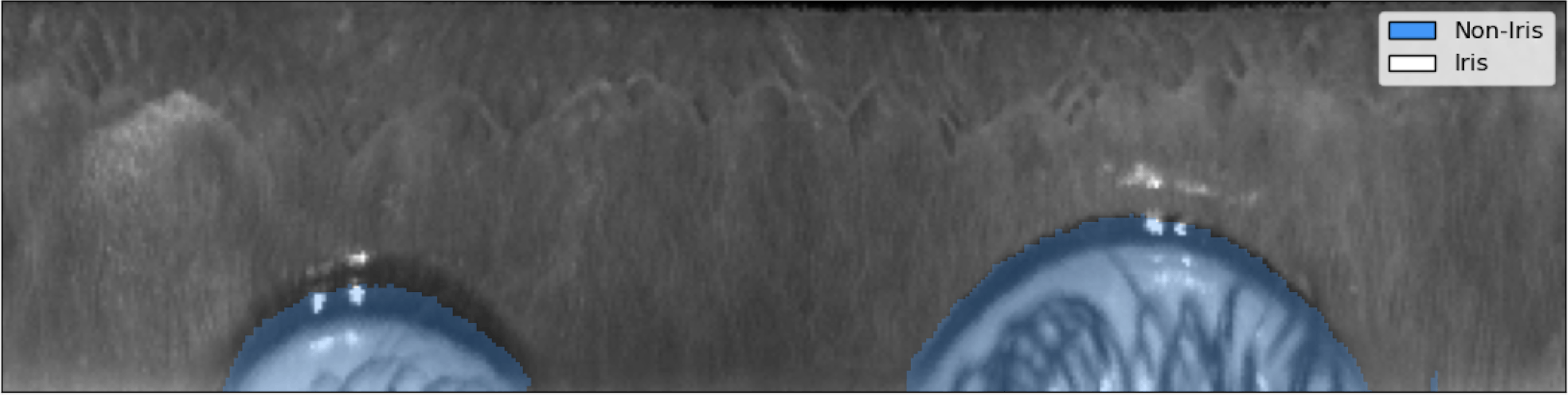 Iris recognition inference system